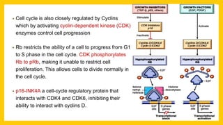Oncogenic viruses | PPTX