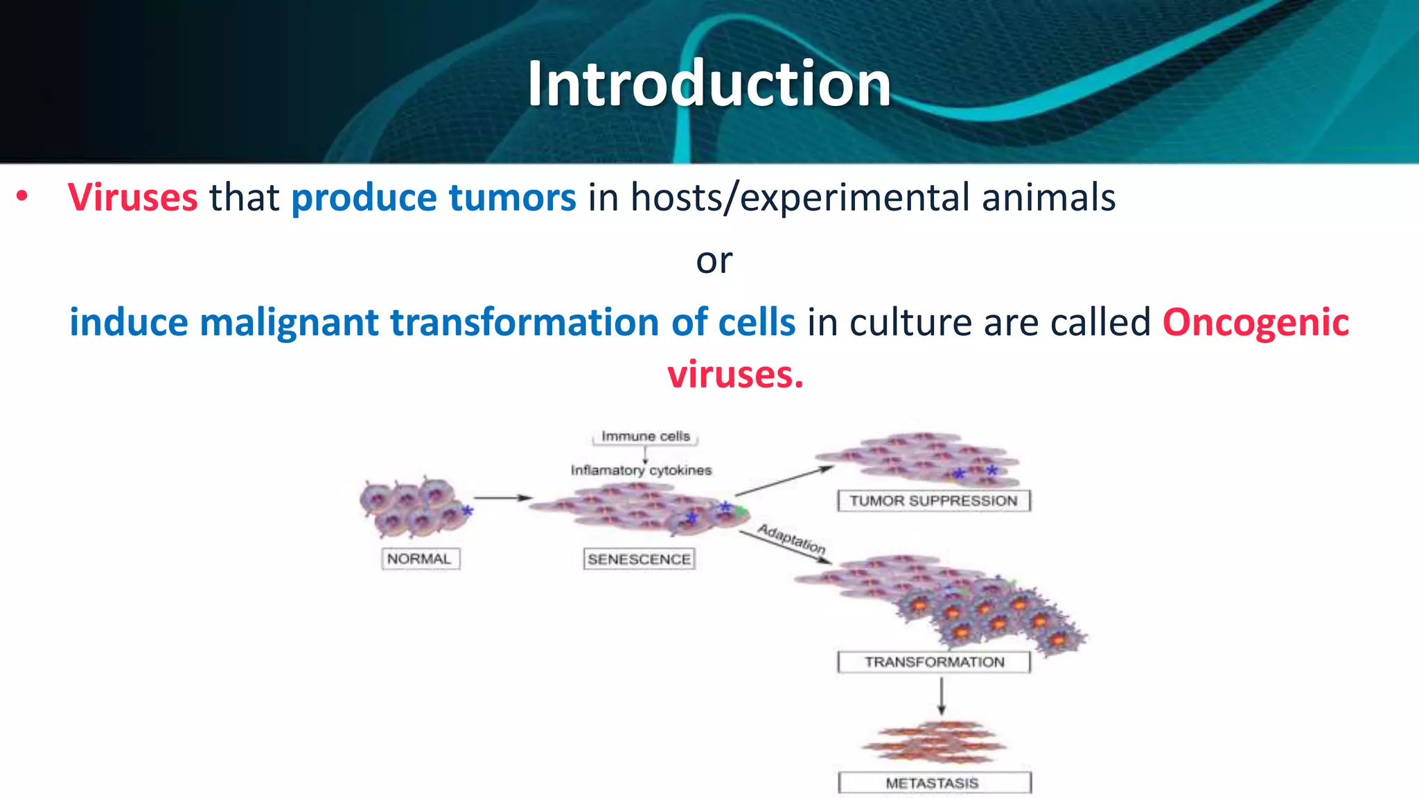 Oncogenic Viruses | PPTX