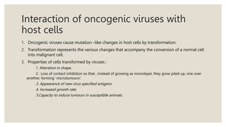 Oncogenic virus presentation.pptx