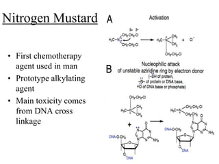 Nitrogen Mustard Mechanism