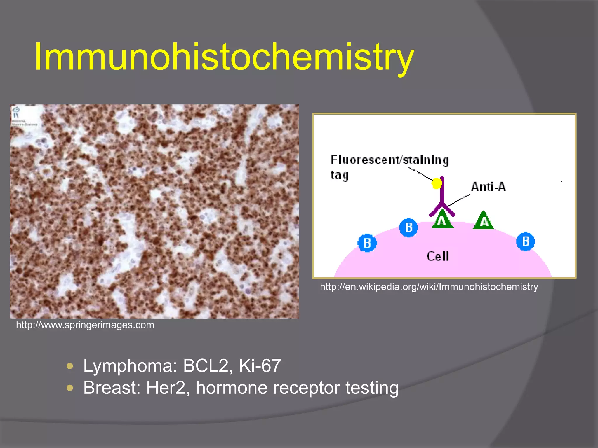 Oncology 101 2013 | PPTX