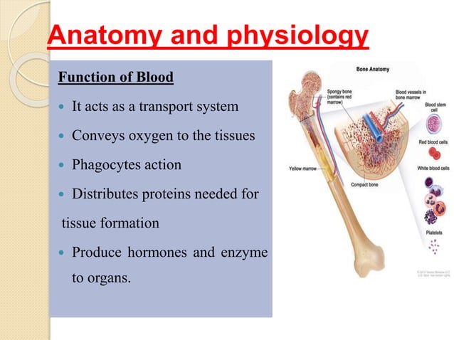 Oncology disorder | PPTX | Blood Disorders | Diseases and Conditions