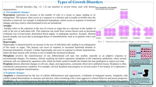 Introduction to oncology lecture 1 (1) (2) (2).ppt