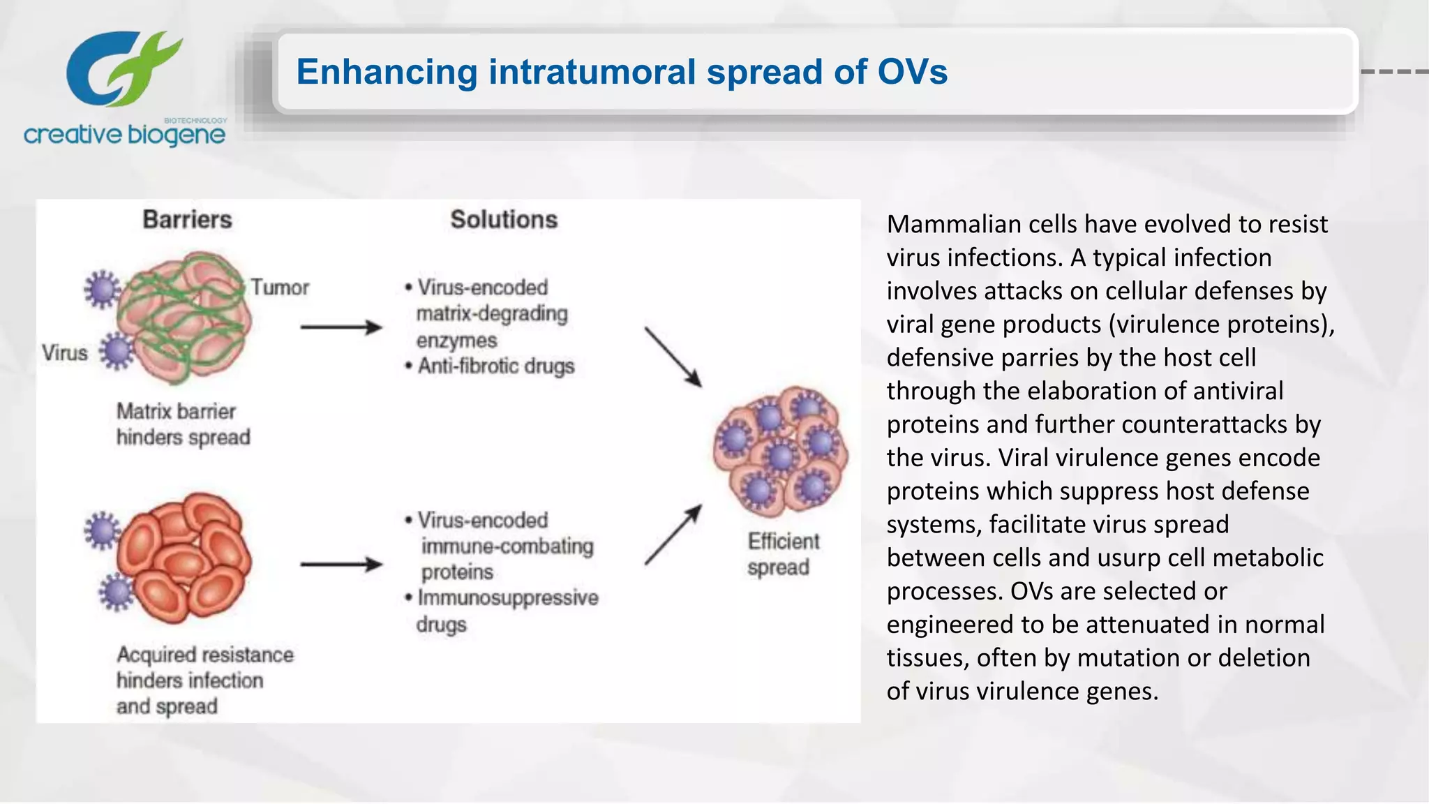 Oncolytic Virotherapy Pptx Infectious Diseases Diseases And