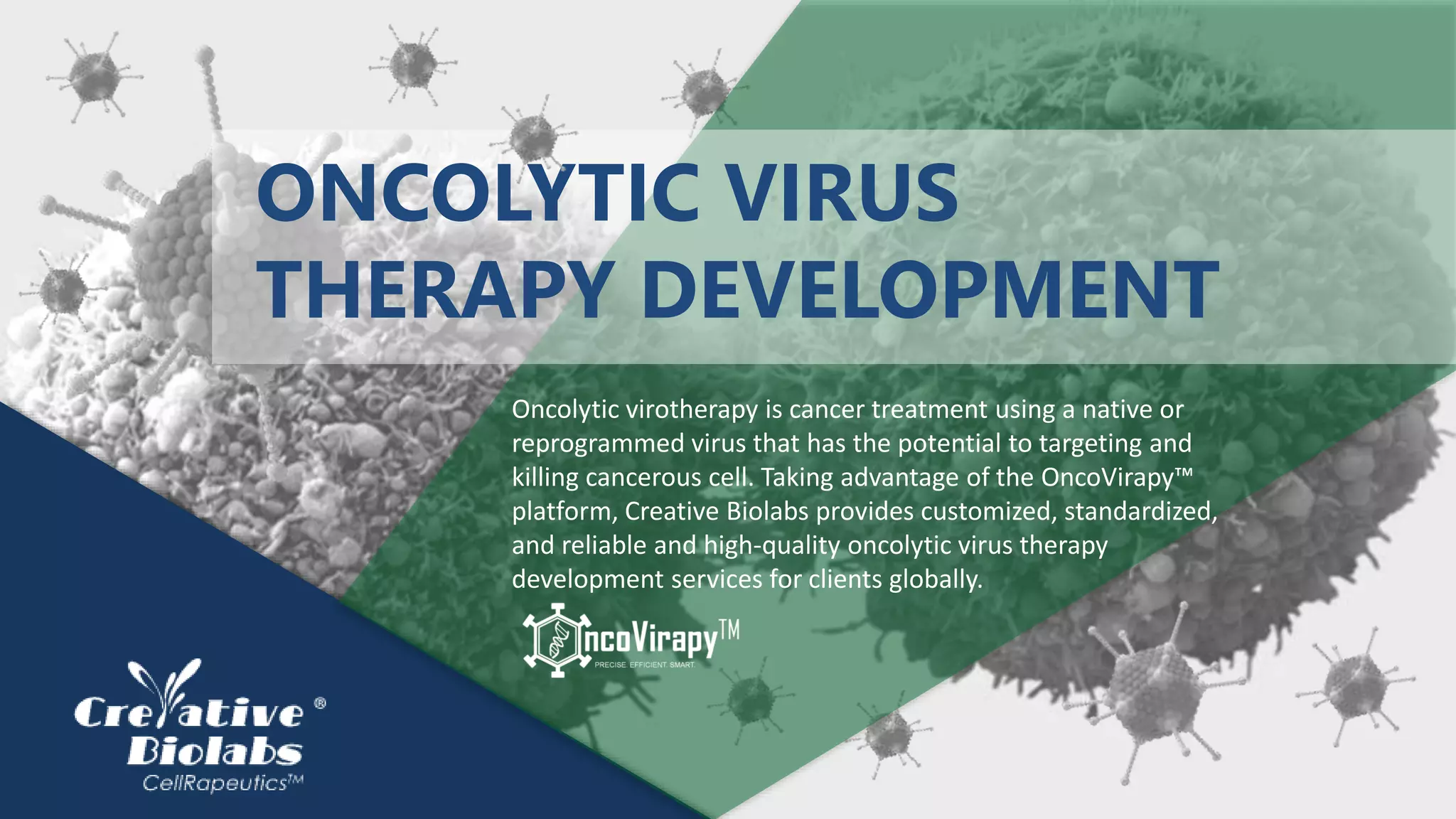 Oncolytic Virus Therapy Development - Creative Biolabs | PPTX | Cancer ...