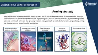 Oncolytic Virus Therapy Development - Creative Biolabs | PPTX | Cancer ...