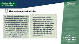 Oncolytic Virus Therapy Development - Creative Biolabs | PPTX | Cancer ...