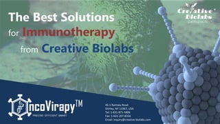 Oncolytic Virus Therapy Development - Creative Biolabs | PPTX