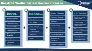 Oncolytic Virus Therapy Development - Creative Biolabs | PPTX | Cancer ...