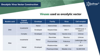 Oncolytic Virus Therapy Development - Creative Biolabs | PPTX | Cancer ...
