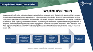 Oncolytic Virus Therapy Development - Creative Biolabs | PPTX | Cancer ...