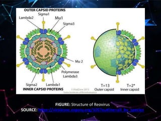 Oncolytic virotherapy for canine and feline cancer | PPT