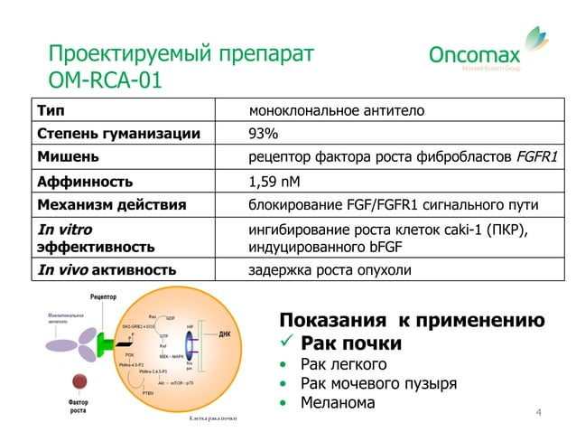 OncoMax presentation for Skolkovo, April 25, 2012 | PPT
