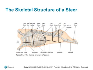 OnCooking6CH14PPLecture_accessible.pptx