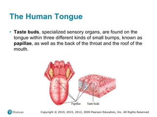 OnCooking6CH7PPLecture_accessible.pptx