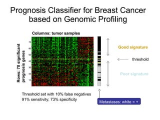 Oncotype Dx Mammaprint | PPT
