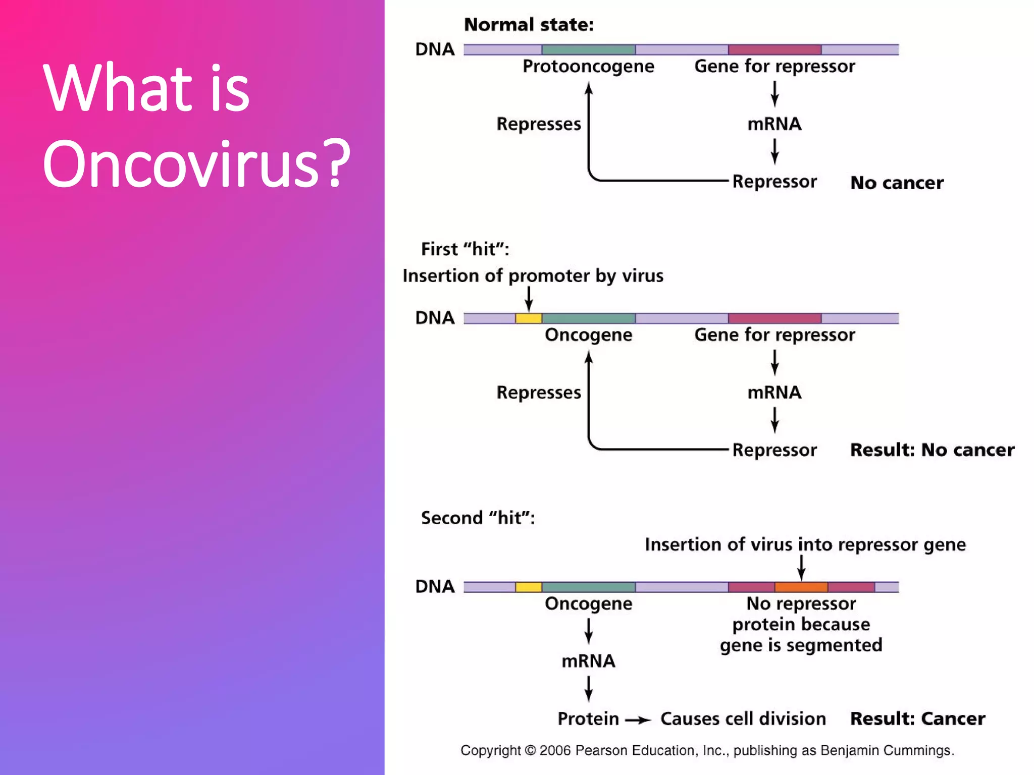 Oncovirus | PDF