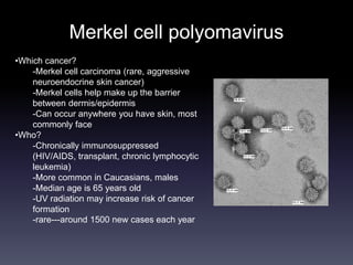 Oncoviruses!.ppt