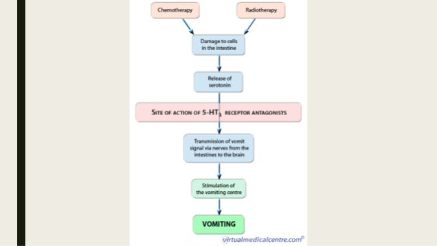 Pharmacology of Ondansetron (Zofran)