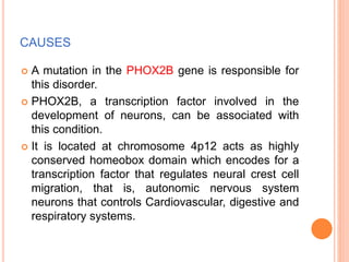 Ondines curse syndrome | PPTX