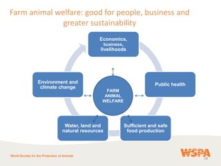 Session Description: Why Animal Health and Welfare Matters To Human ...