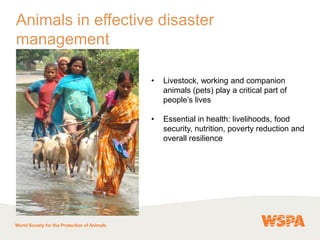 Session Description: Why Animal Health and Welfare Matters To Human ...