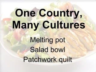 One Country, Many Cultures, USA | PPT