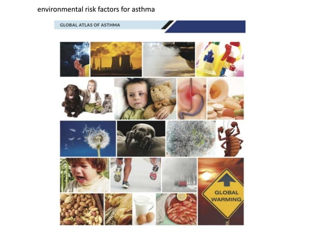 Allergy Asthma and One Health „The size of the problem“ | PPT