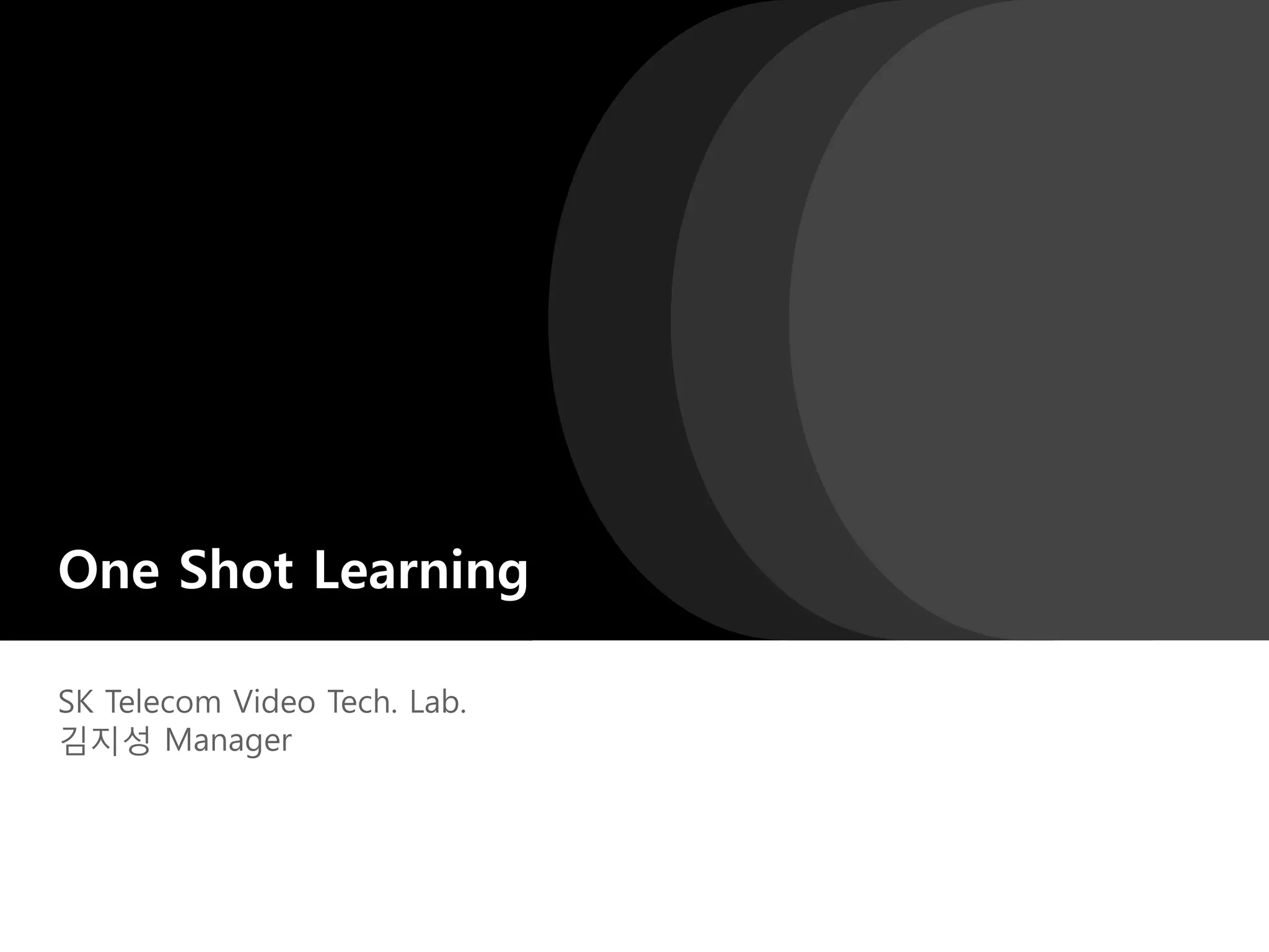 One-Shot Learning | PPT