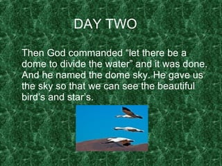 Michael\'s Powerpoint | PPT