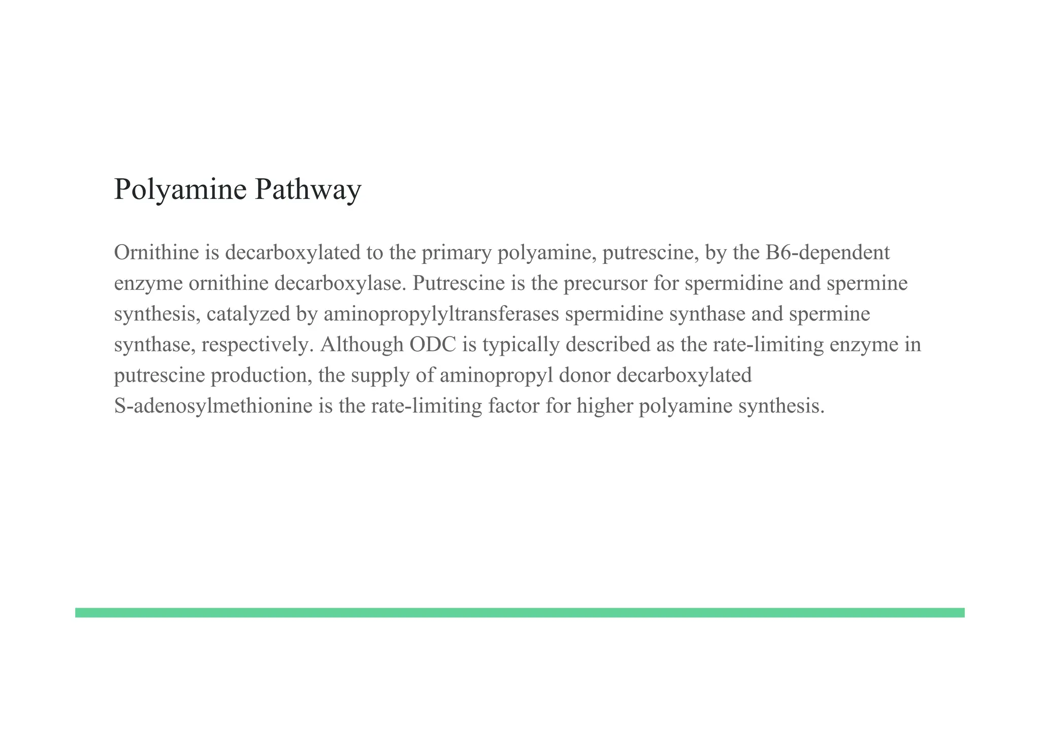One Carbon Groups in Biochemistry and their role | PDF
