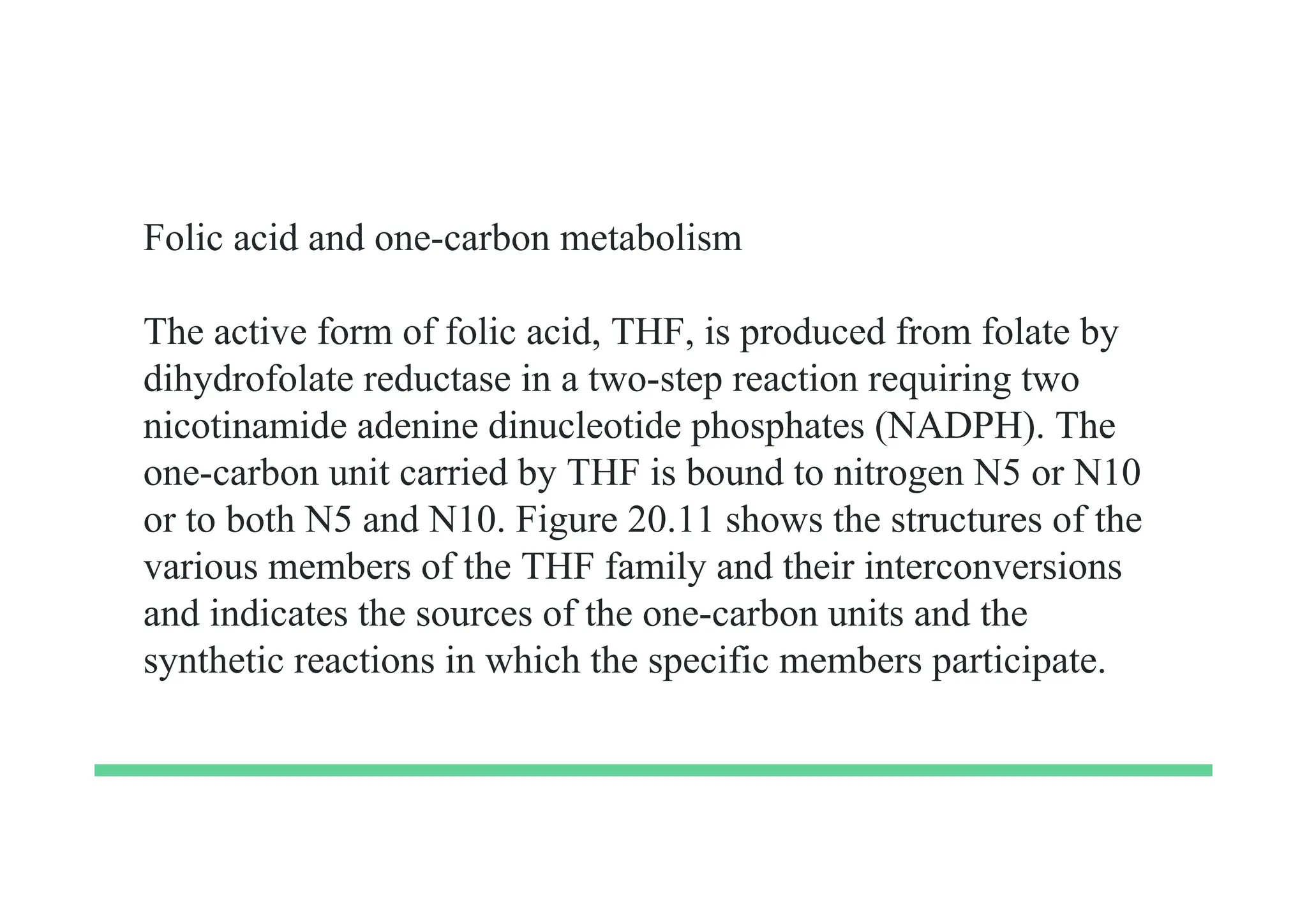 One Carbon Groups in Biochemistry and their role | PDF