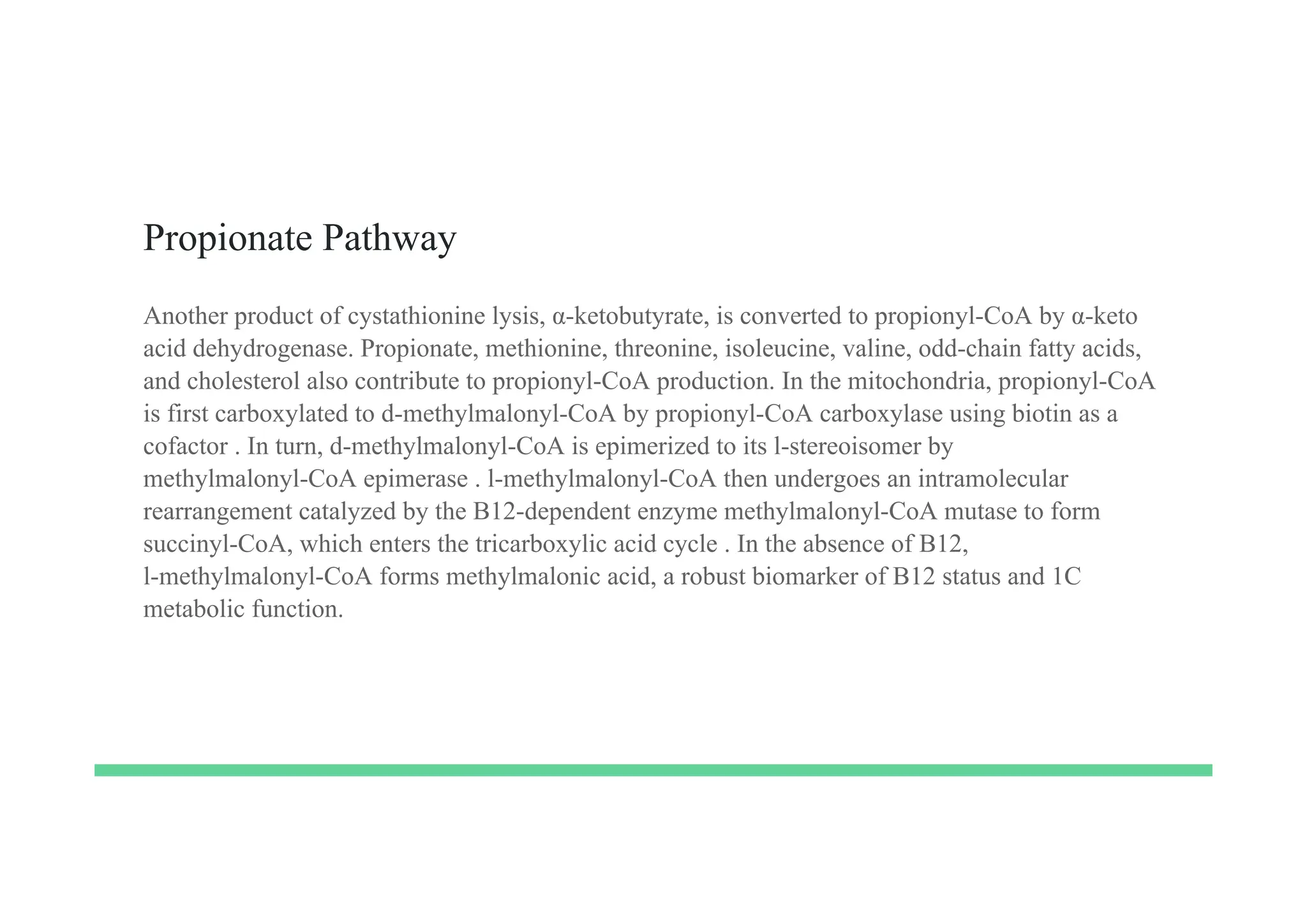One Carbon Groups in Biochemistry and their role | PDF