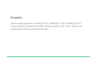 One Carbon Groups in Biochemistry and their role | PDF