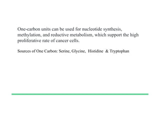 One Carbon Groups in Biochemistry and their role | PDF
