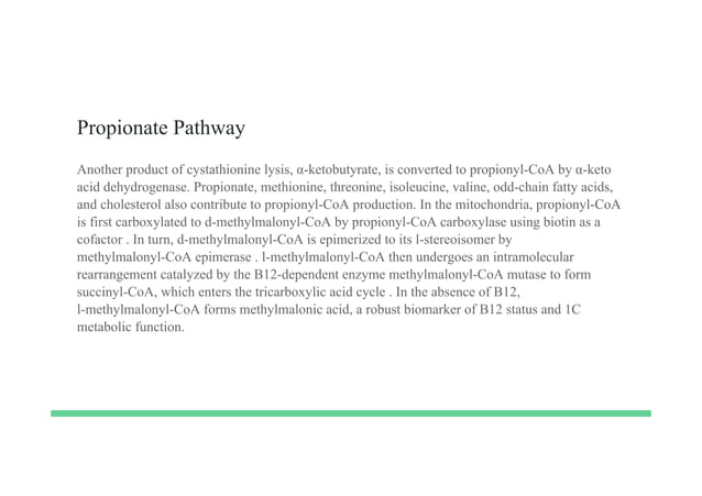 One Carbon Groups in Biochemistry and their role | PDF | Chemistry ...