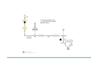 One Carbon Groups in Biochemistry and their role | PDF