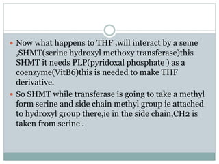 One carbon metabolism | PPTX
