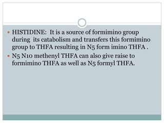 One carbon metabolism | PPTX
