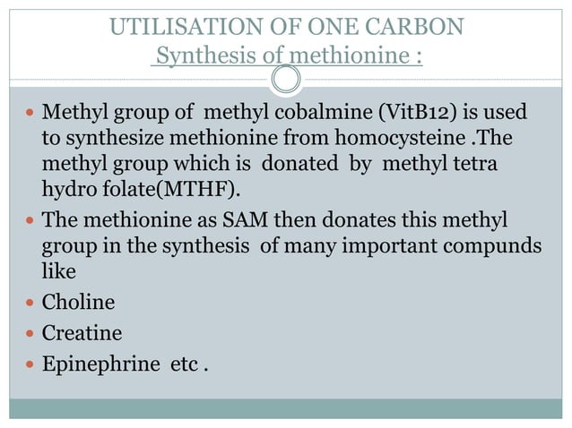 One carbon metabolism | PPTX | Chemistry | Science