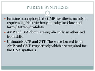 One carbon metabolism | PPTX