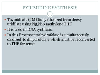 One carbon metabolism | PPTX