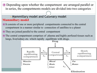 One compartment Model Deliverdddddded.pdf