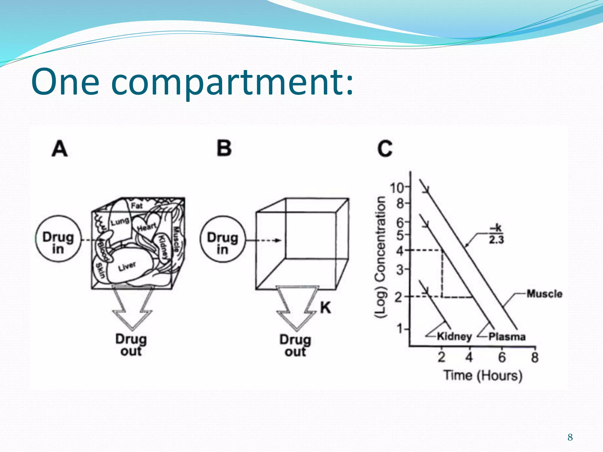 One compartment model intro | PPTX