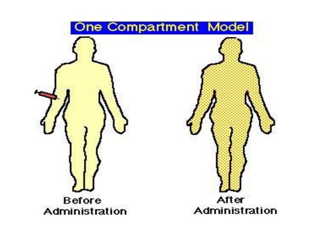 Pharmacokinetics / Biopharmaceutics - One compartment model IV bolus | PDF