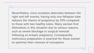 One Fallopian Tube and Your Fertility- A Comprehensive Guide to ...