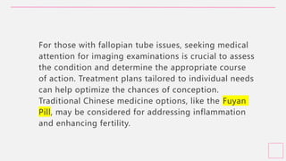 One Fallopian Tube and Your Fertility- A Comprehensive Guide to ...