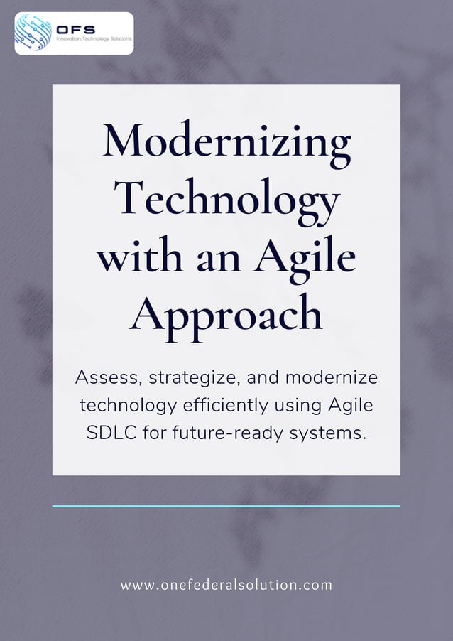 One Federal Solution: Embracing Digital Transformation for Lasting ...