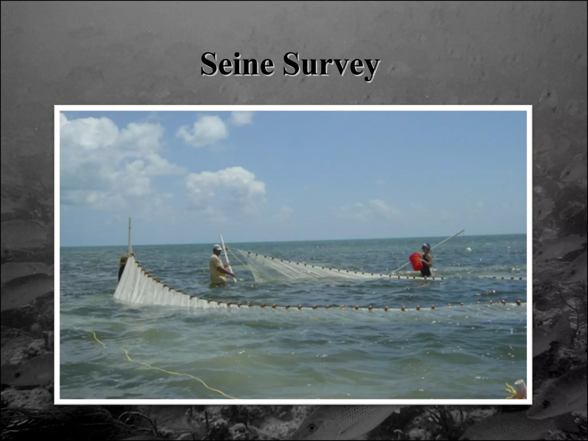 Introduction for NOAA lesson by Susan Kaiser, TAS 2012: One Fish, Two ...