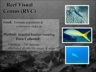 Introduction for NOAA lesson by Susan Kaiser, TAS 2012: One Fish, Two ...